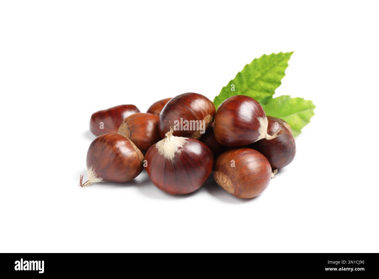 Fresh sweet edible chestnuts with green leaves on white background ...