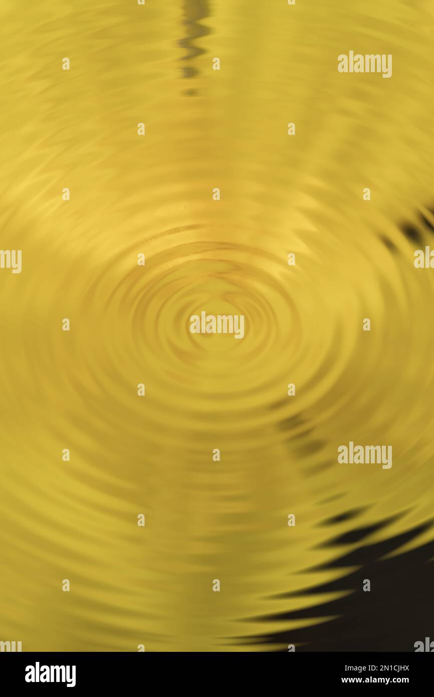 golden ripples of the reflection of yellow cassia as a pebble drops ...