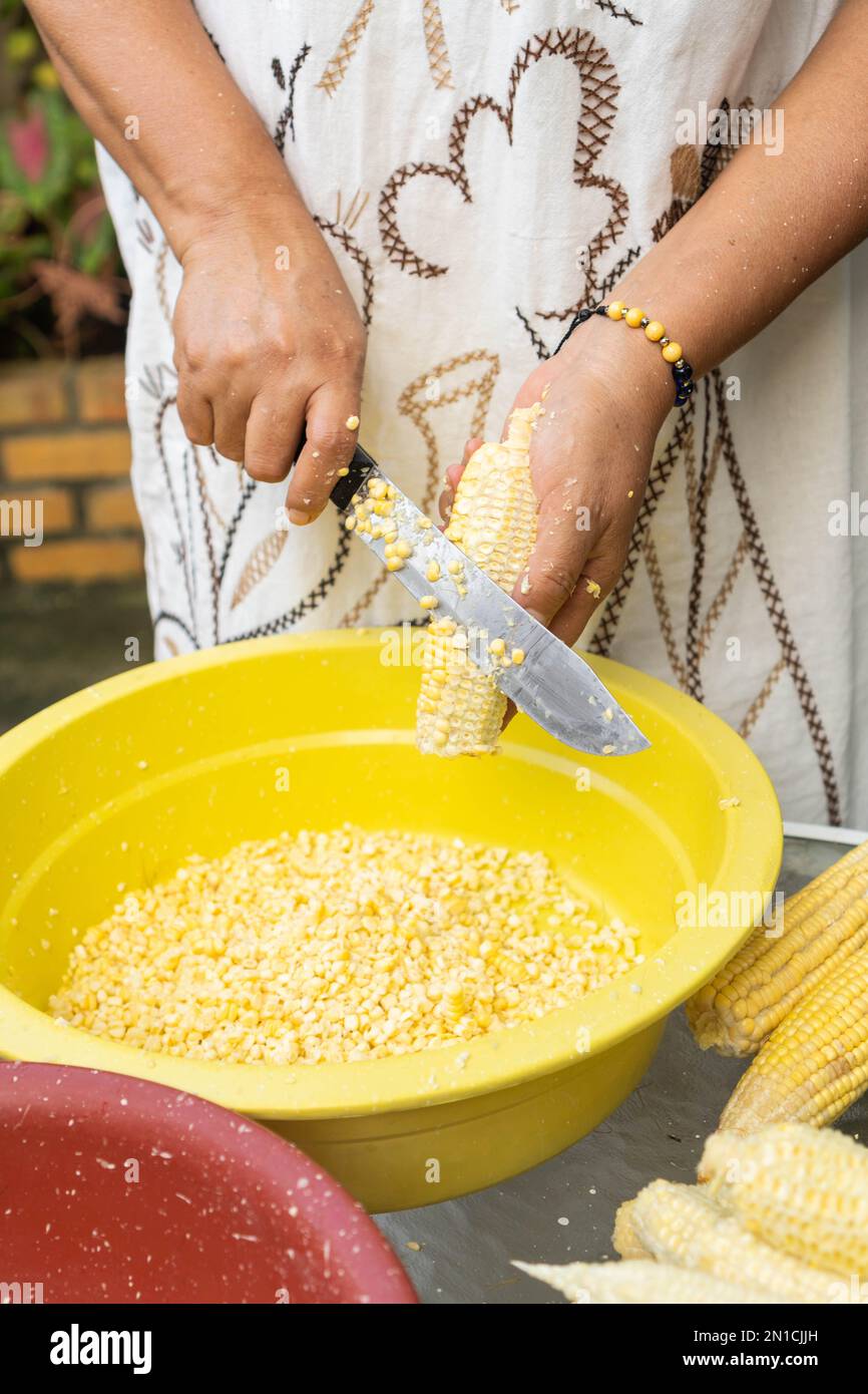 A woman's hands shelling corn for the family dinner Stock Photo - Alamy