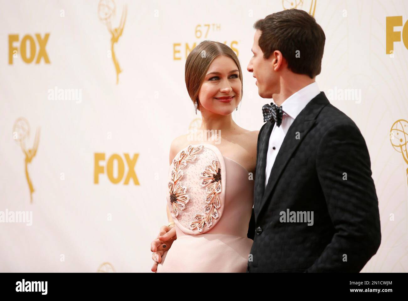 Andy Samberg Joanna Newsom Wedding Dress