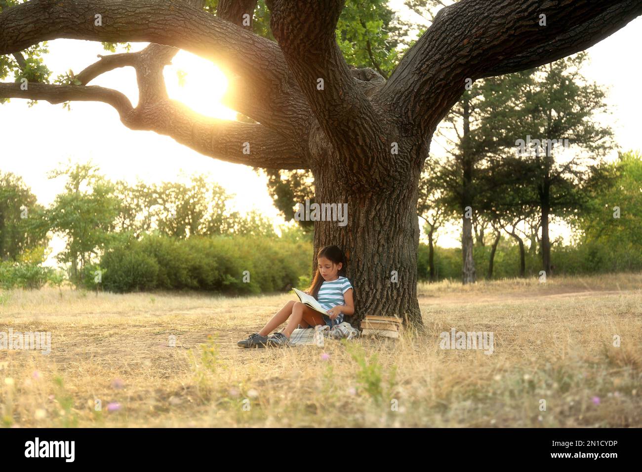 Cute little girl reading book near tree in park Stock Photo - Alamy