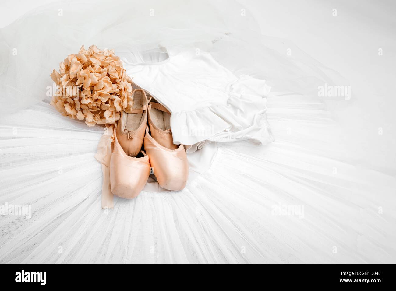 Ballet dancer details Stock Photo - Alamy