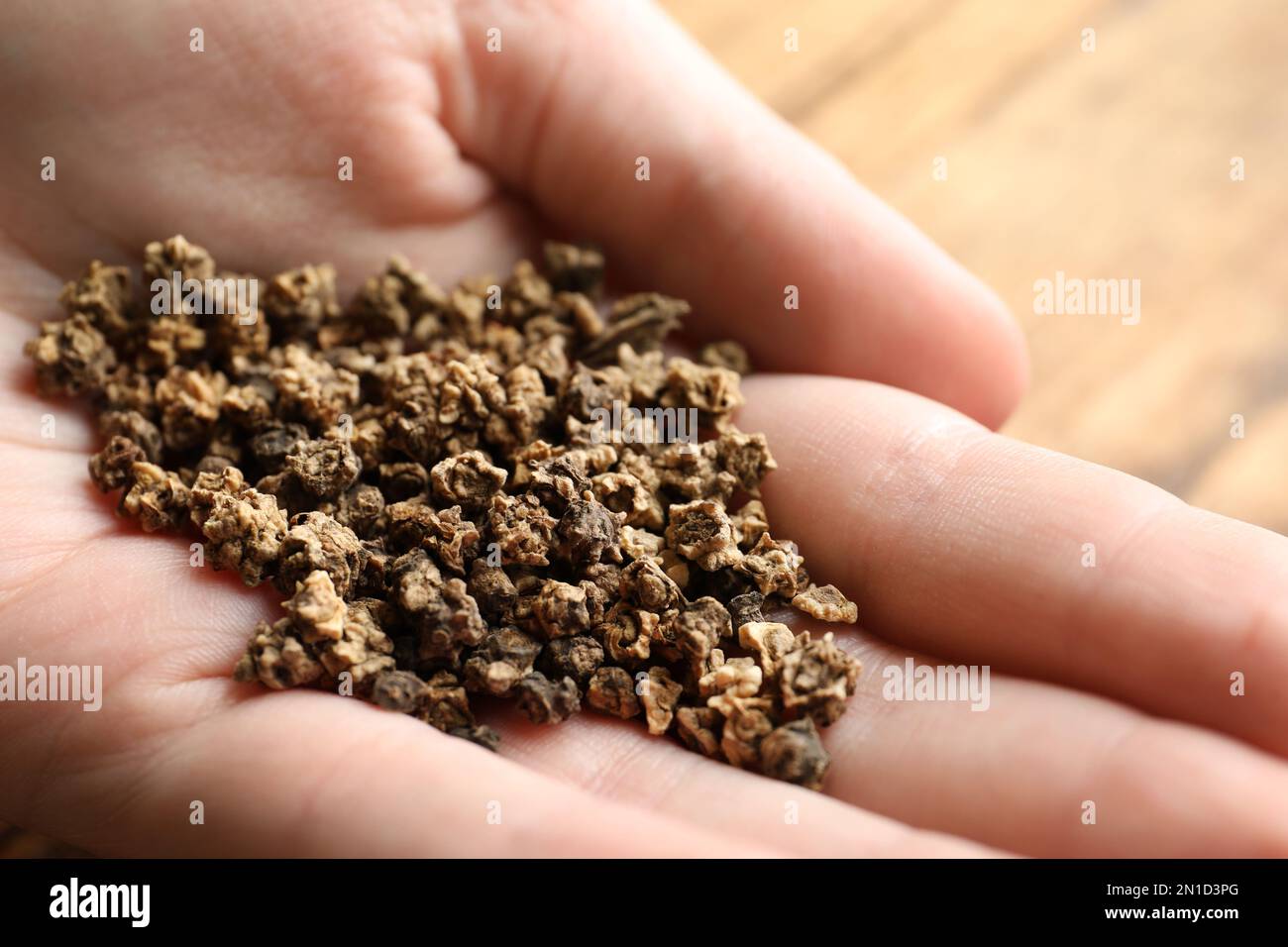 Woman holding pile of beet seeds, closeup. Vegetable planting Stock ...