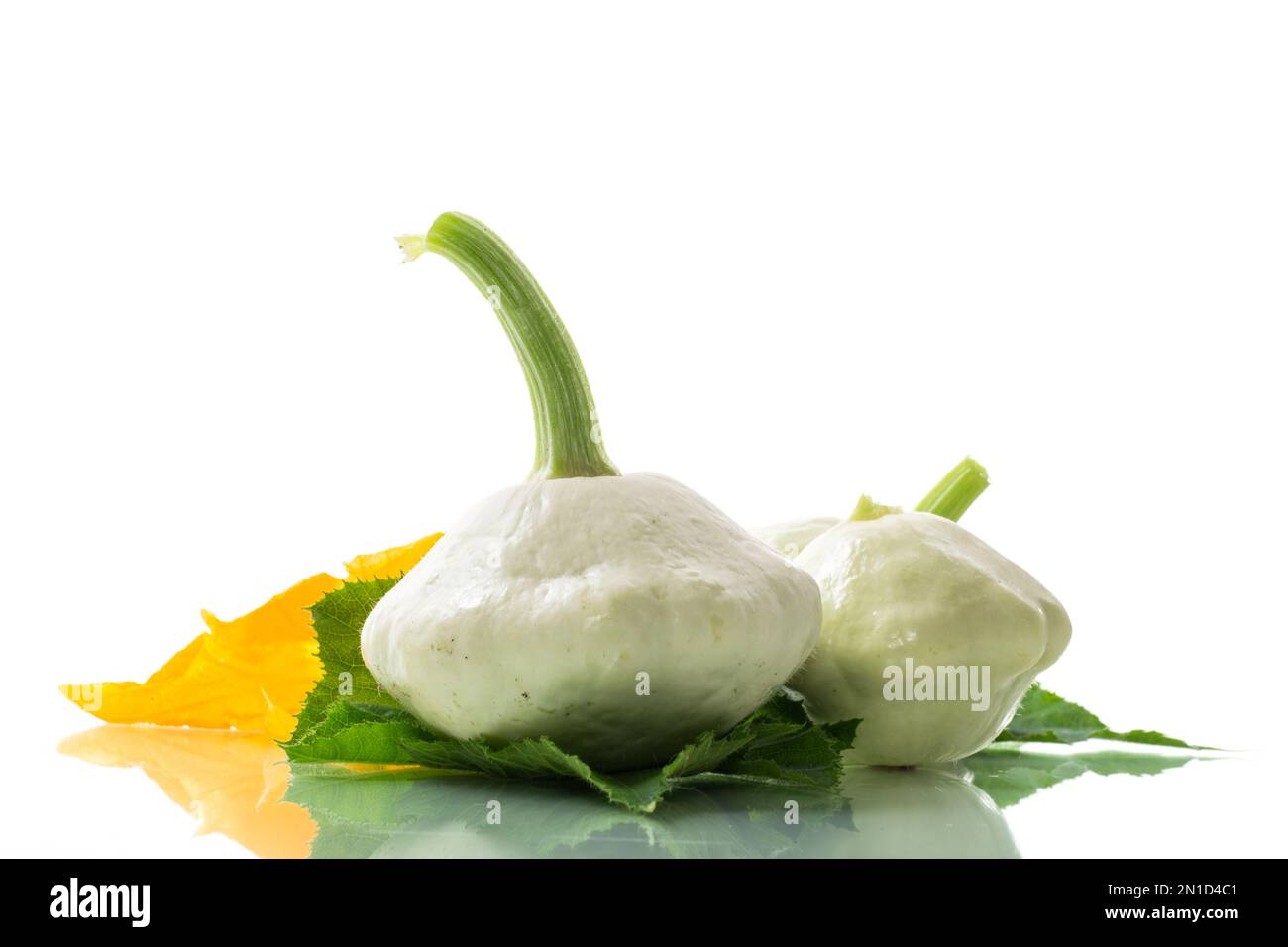 fresh organic squash isolated on white background Stock Photo - Alamy