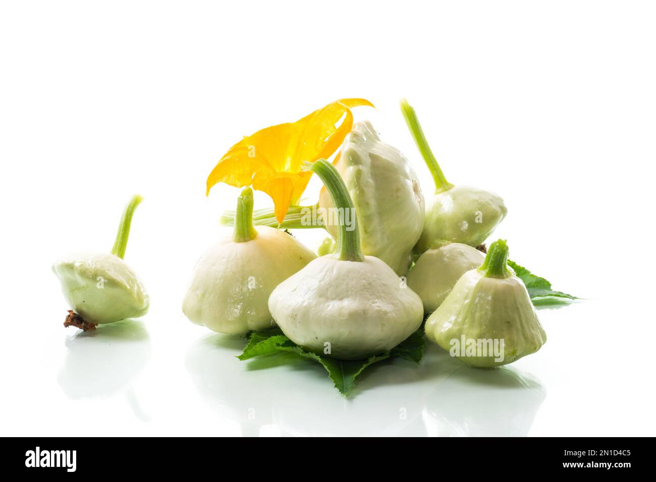 fresh organic squash isolated on white background Stock Photo - Alamy