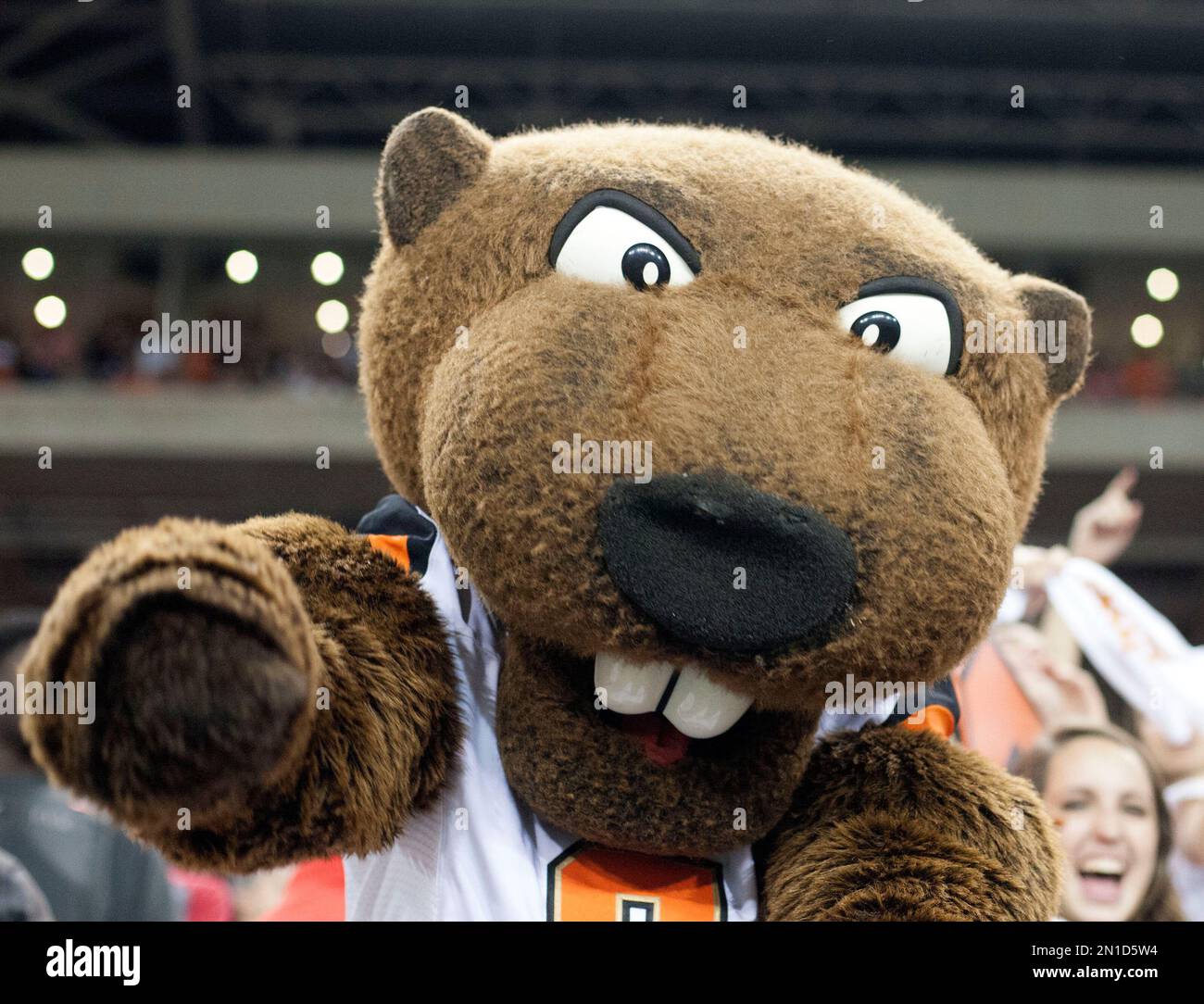 Oregon State mascot Benny Beaver during an NCAA college football game ...