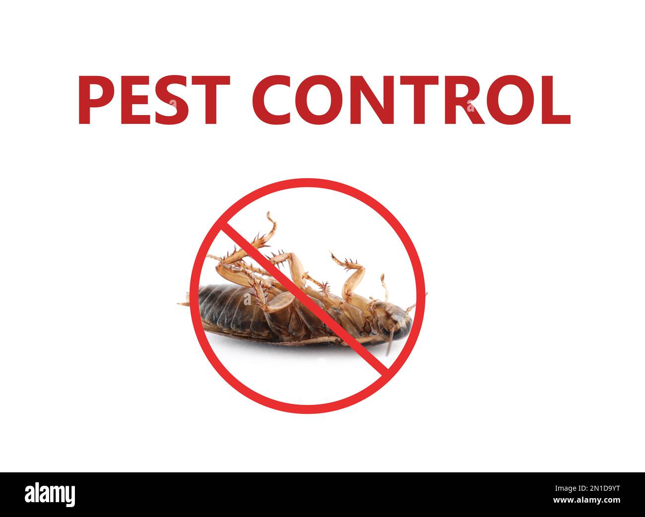 Dead cockroach with red prohibition sign on white background. Pest ...