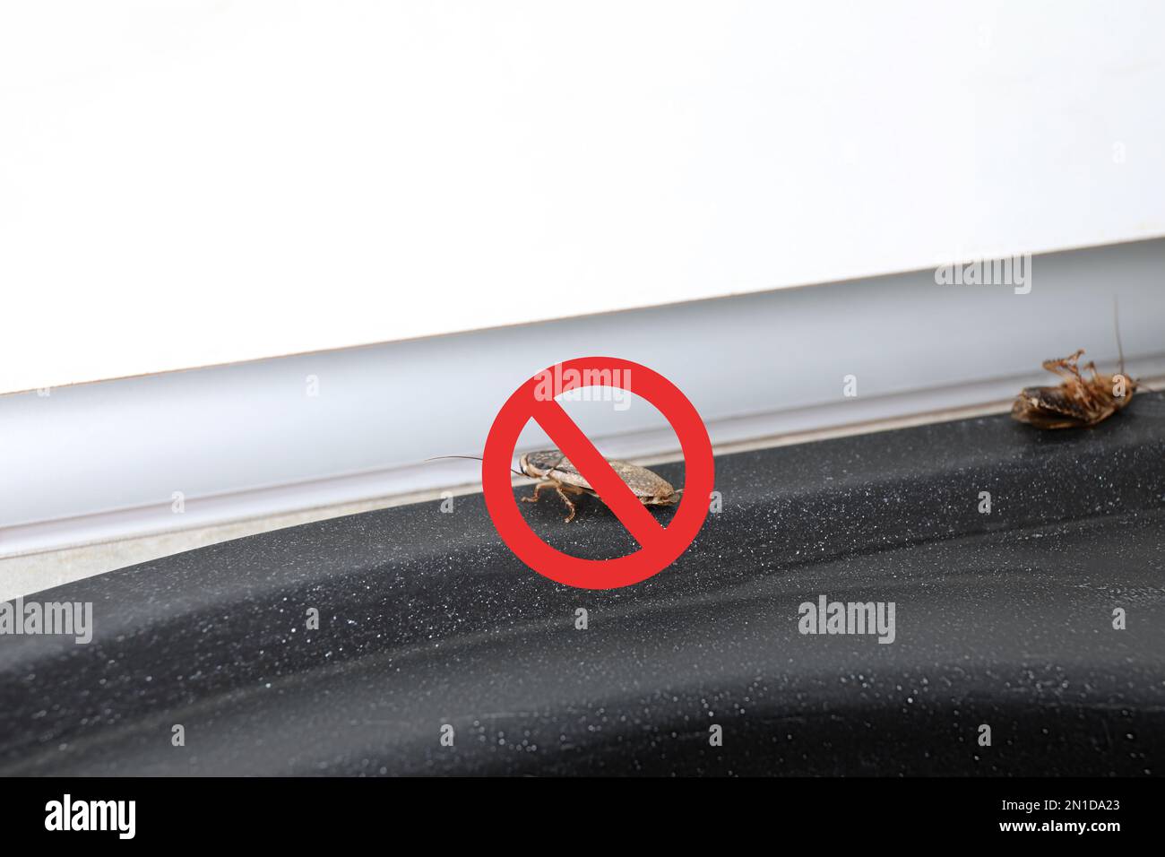 Cockroach with red prohibition sign on sink. Pest control Stock Photo ...