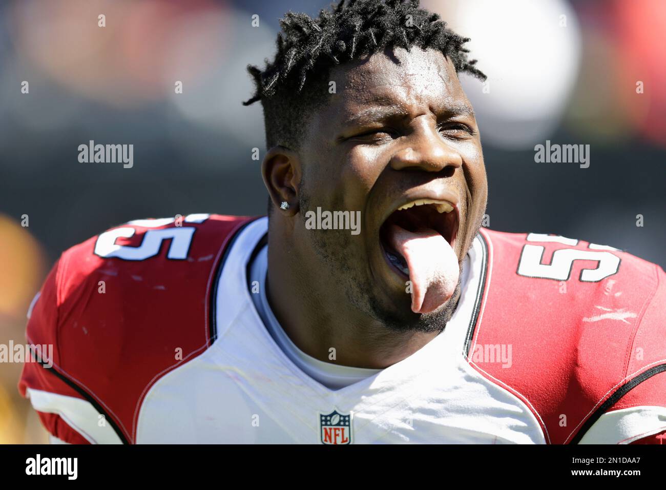 Arizona Cardinals linebacker Sean Weatherspoon (55) sticks out his ...