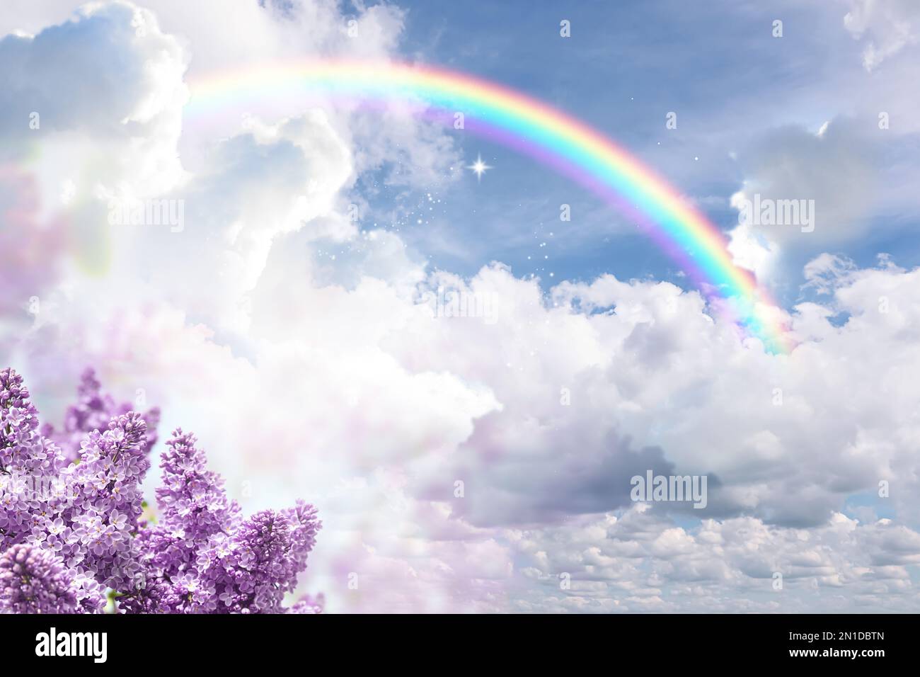 Rainbow Fantasy World