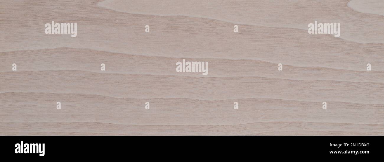 Natural Nut Late wood panel texture panorama pattern Stock Photo - Alamy