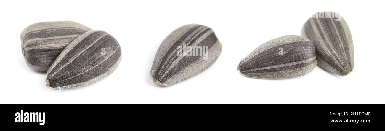 Set of sunflower seeds on white background. Banner design Stock Photo ...