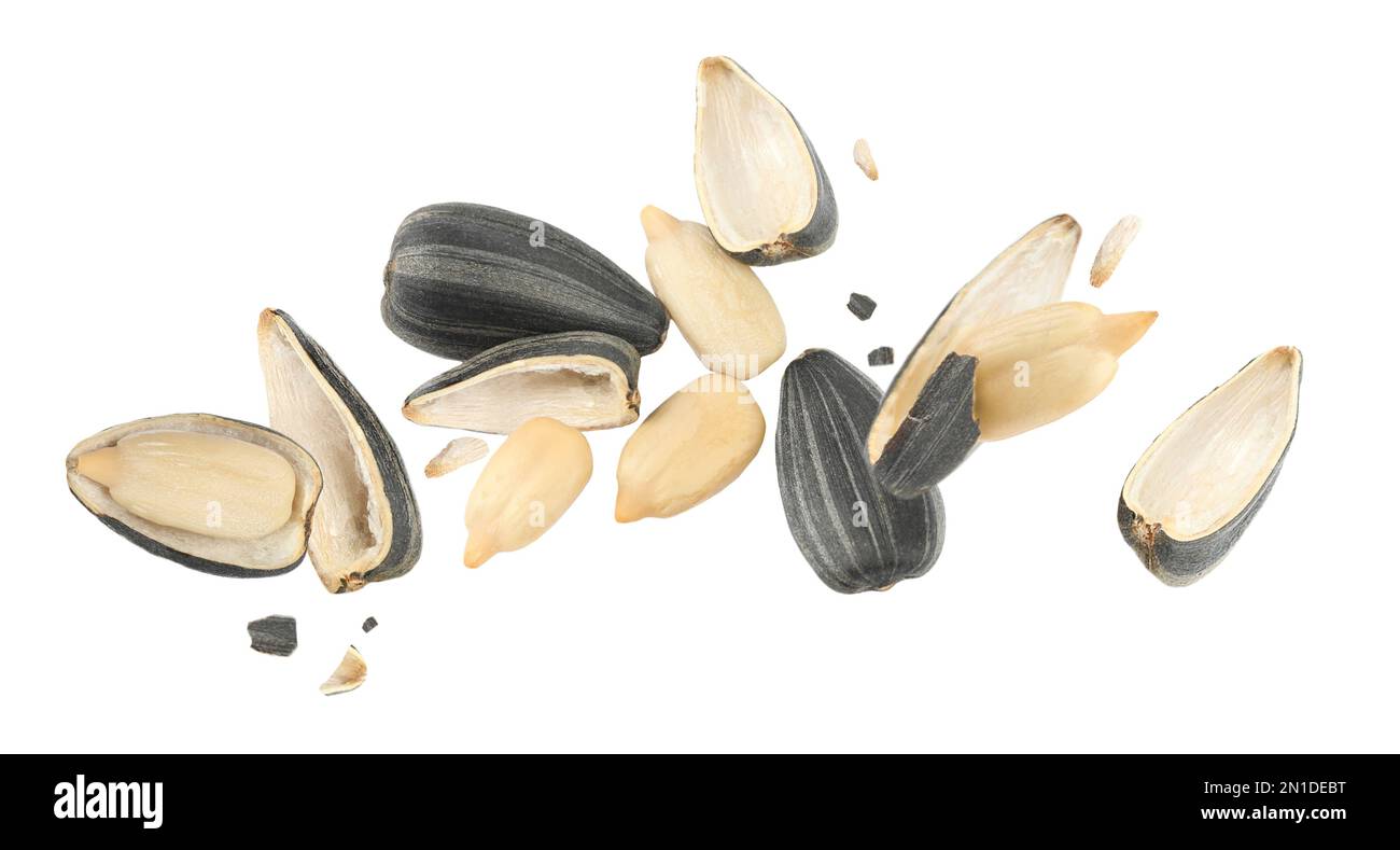 Sunflower seeds with hull flying on white background. Banner design ...