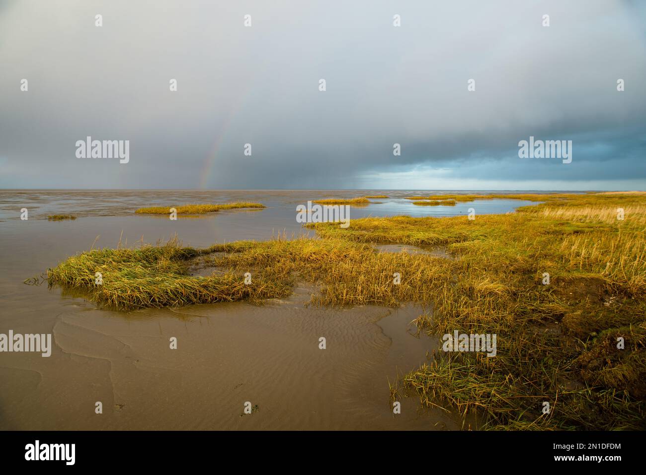 Wadden sea on the island Romo in Denmark, intertidal zone, wetland with ...