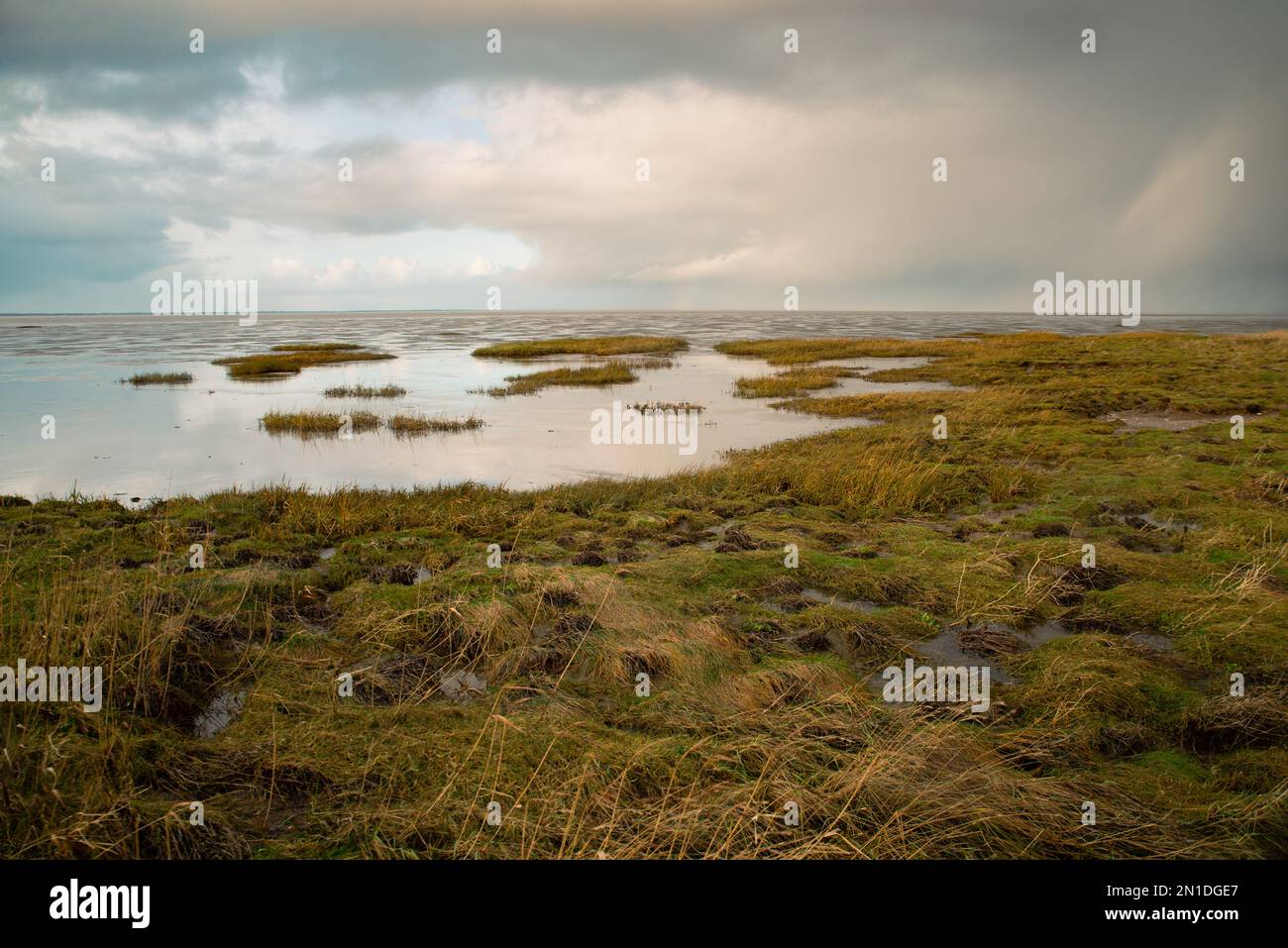 Wadden sea on the island Romo in Denmark, intertidal zone, wetland with ...