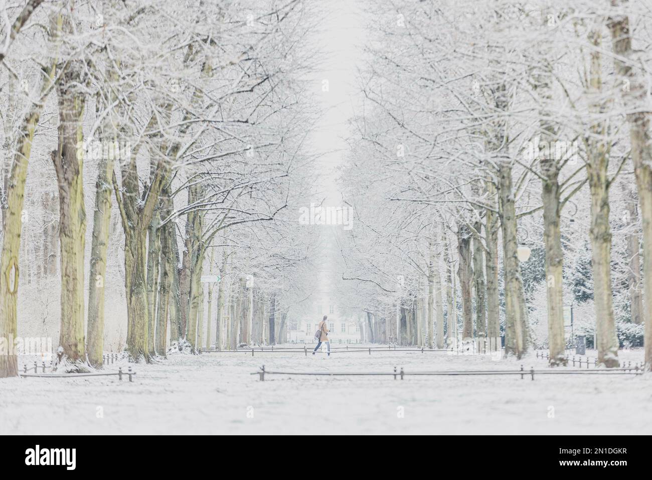 Berlin tiergarten winter snow snowfall snowing snow snowfal hi-res ...