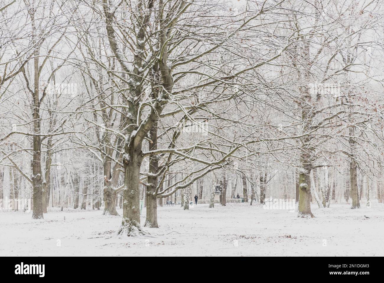 Berlin tiergarten winter snow snowfall snowing snow snowfal hi-res ...