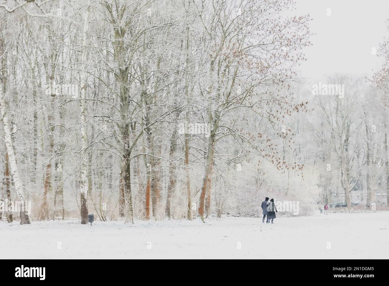 Berlin tiergarten winter snow snowfall snowing snow snowfal hi-res ...