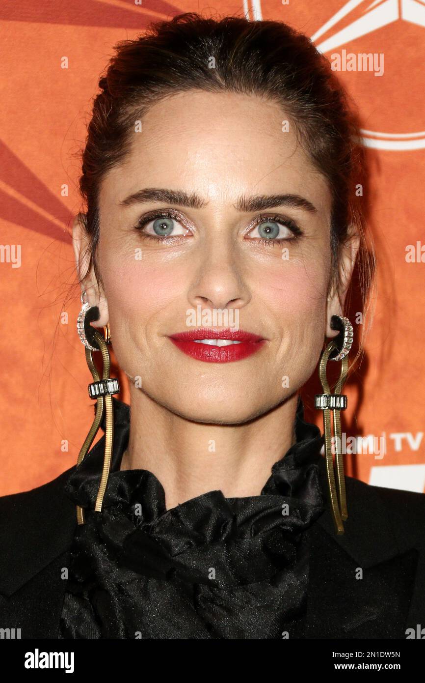 Amanda Peet attends the Variety Magazine and Women in Film Pre Emmy ...