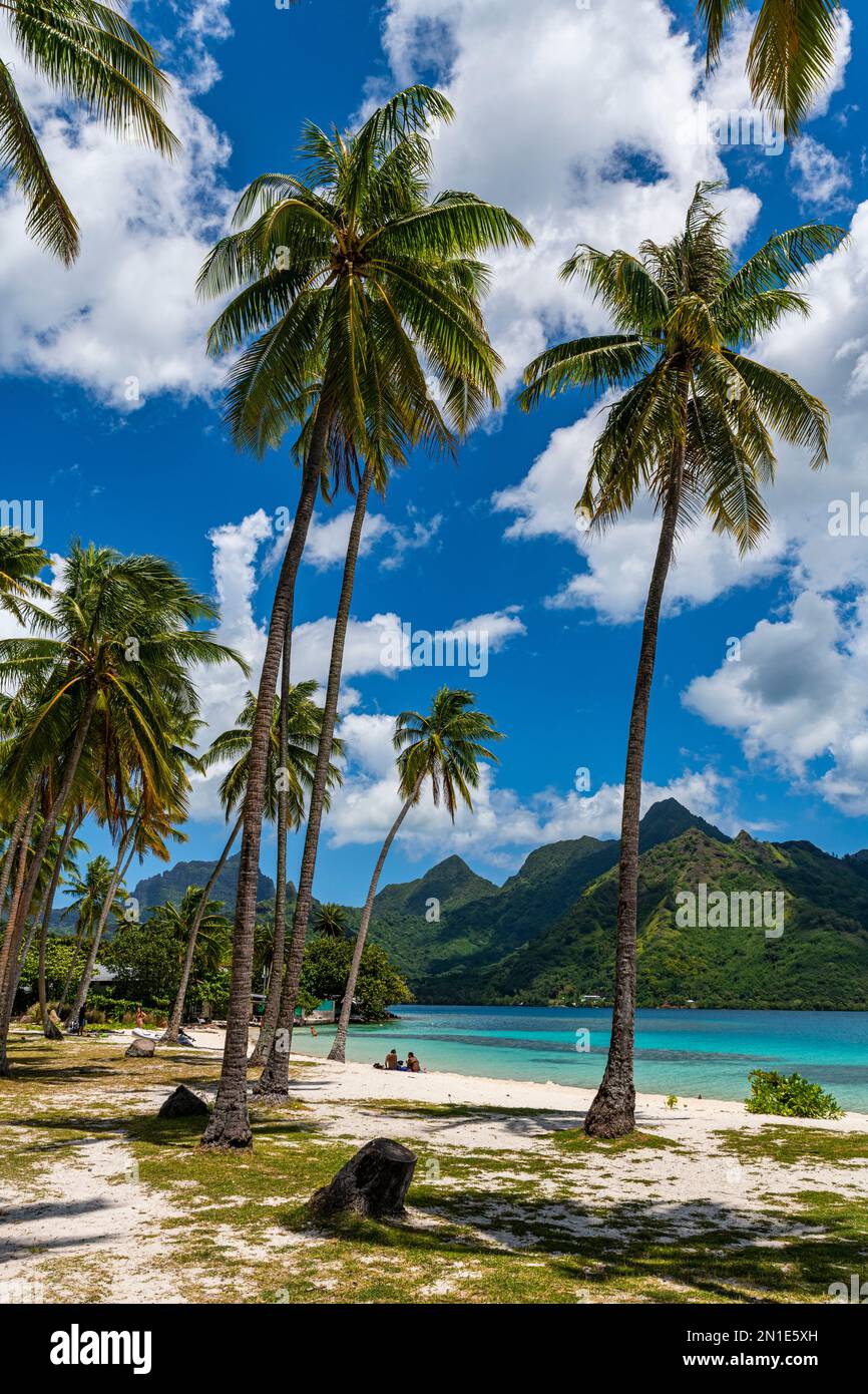 Public beaches sand hi-res stock photography and images - Alamy
