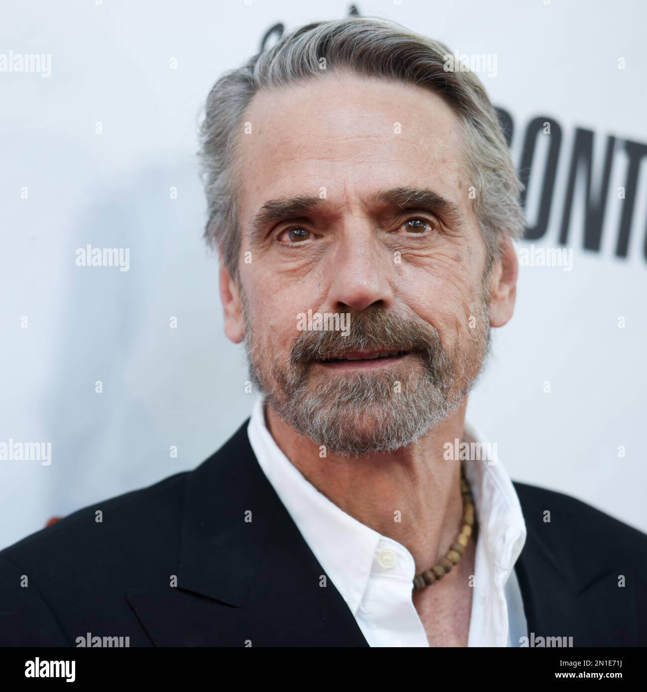 Actor Jeremy Irons attends the Premiere of "The Man Who Knew Infinity ...