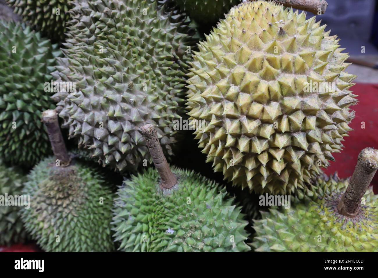 Durian fruit on display at a local roadside hawker stall Stock Photo ...