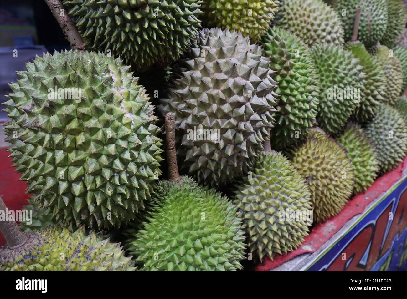 Durian fruit on display at a local roadside hawker stall Stock Photo ...