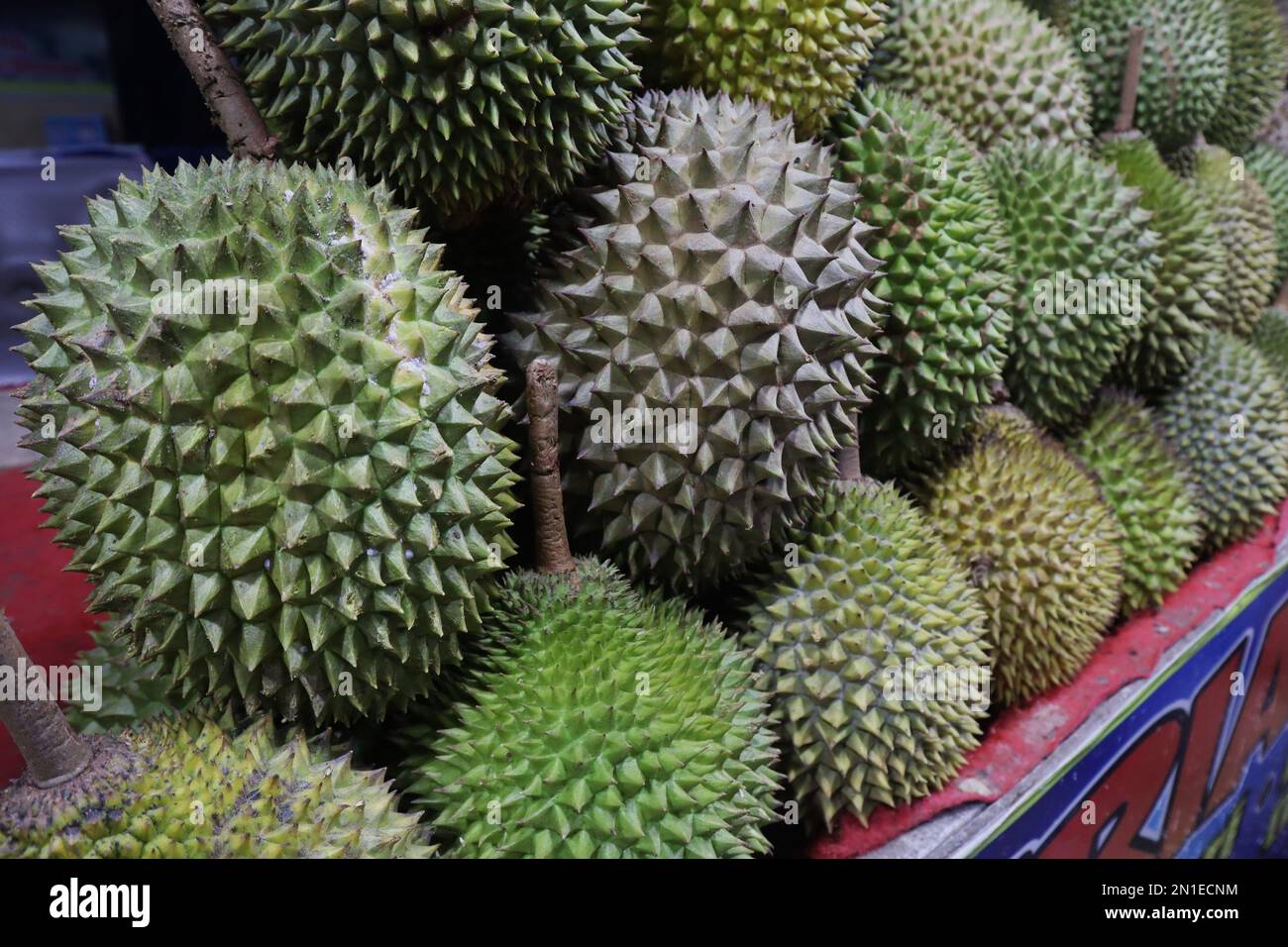 Durian fruit on display at a local roadside hawker stall Stock Photo ...