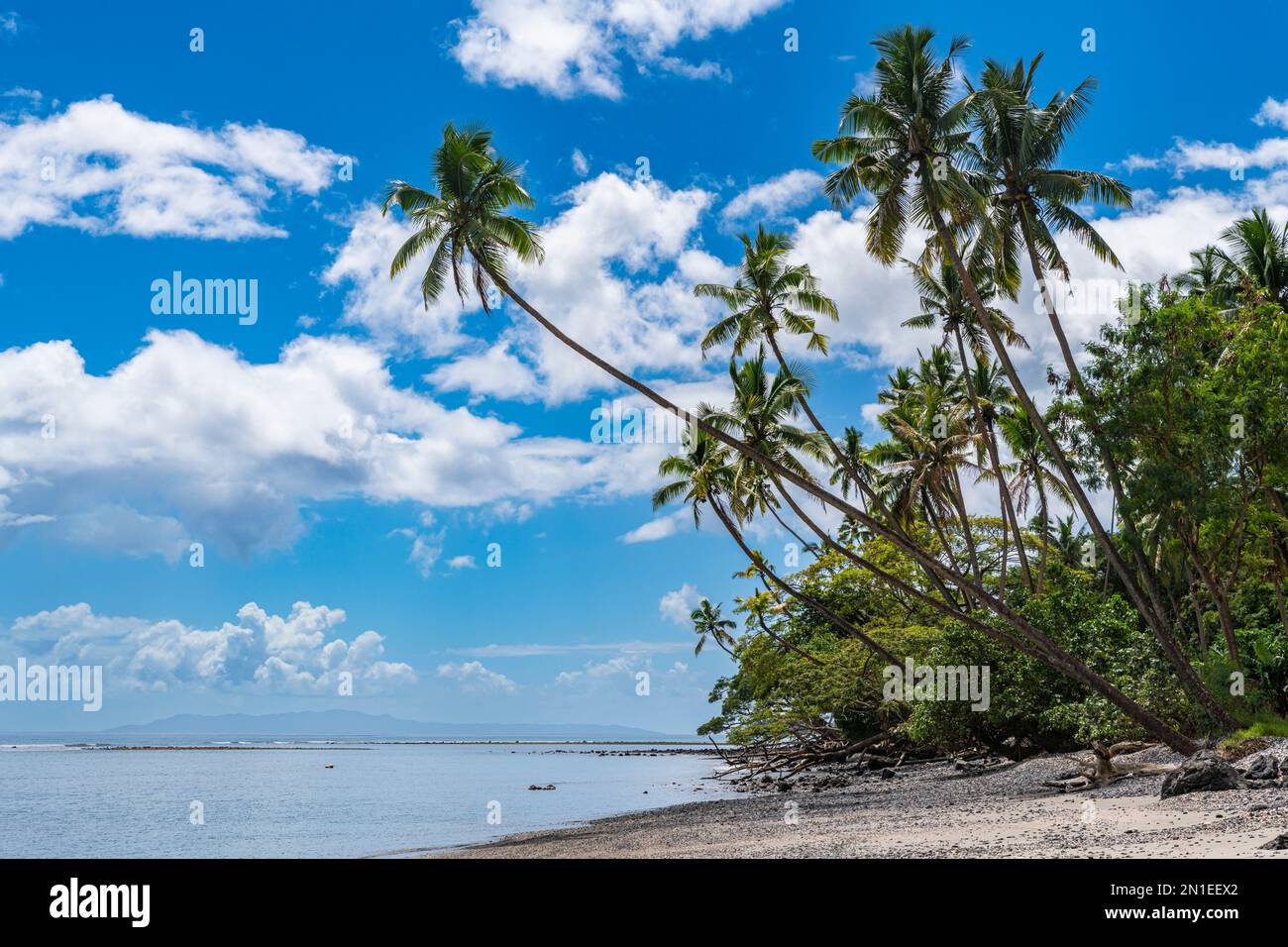 Palm fringed Coral beach, Taveuni, Fiji, South Pacific, Pacific Stock ...