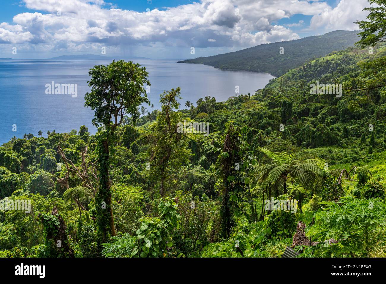 View over the coastline of Taveuni, Fiji, South Pacific, Pacific Stock ...