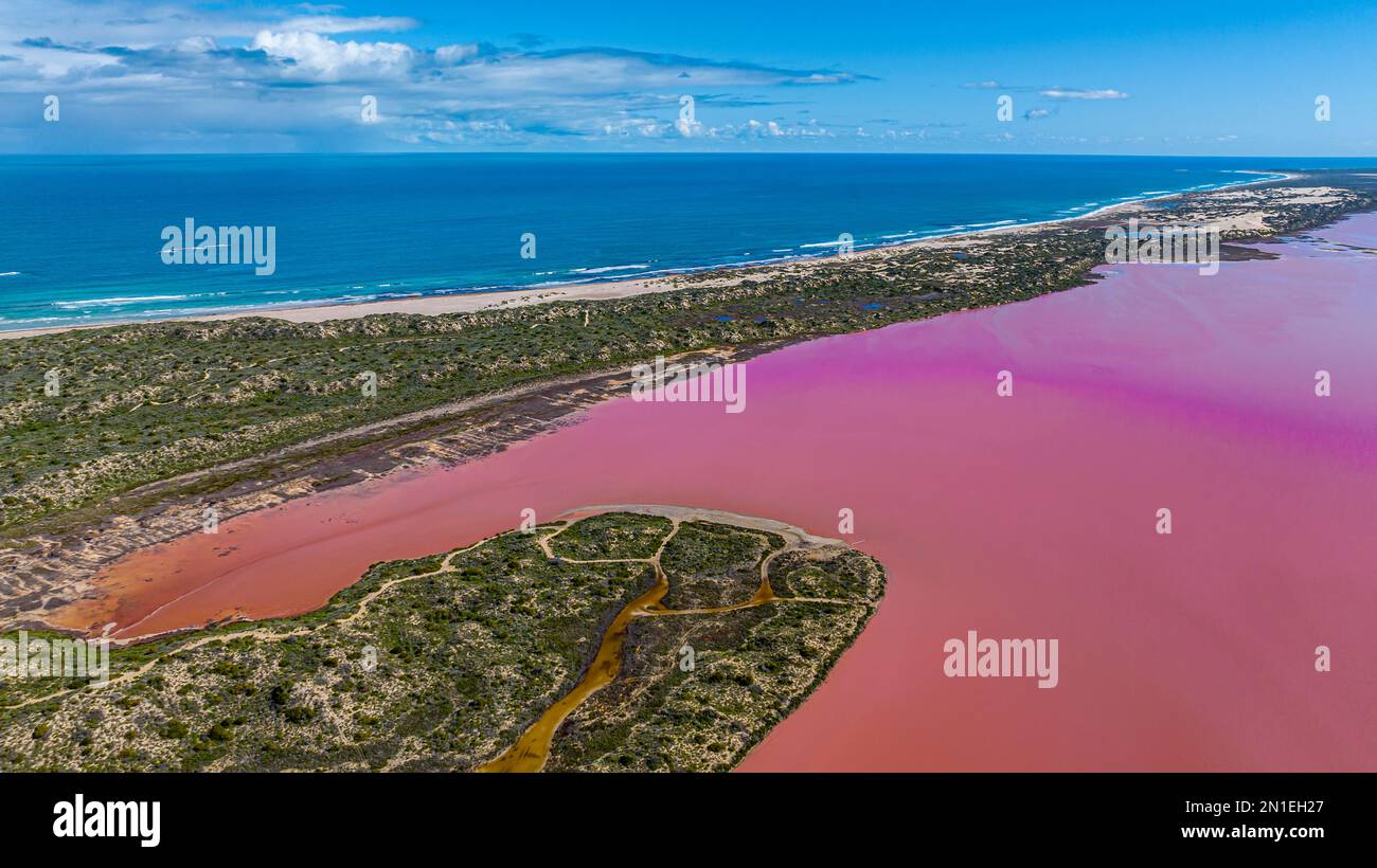 Aerial of the pink coloured Hutt Lagoon, Western Australia, Australia ...