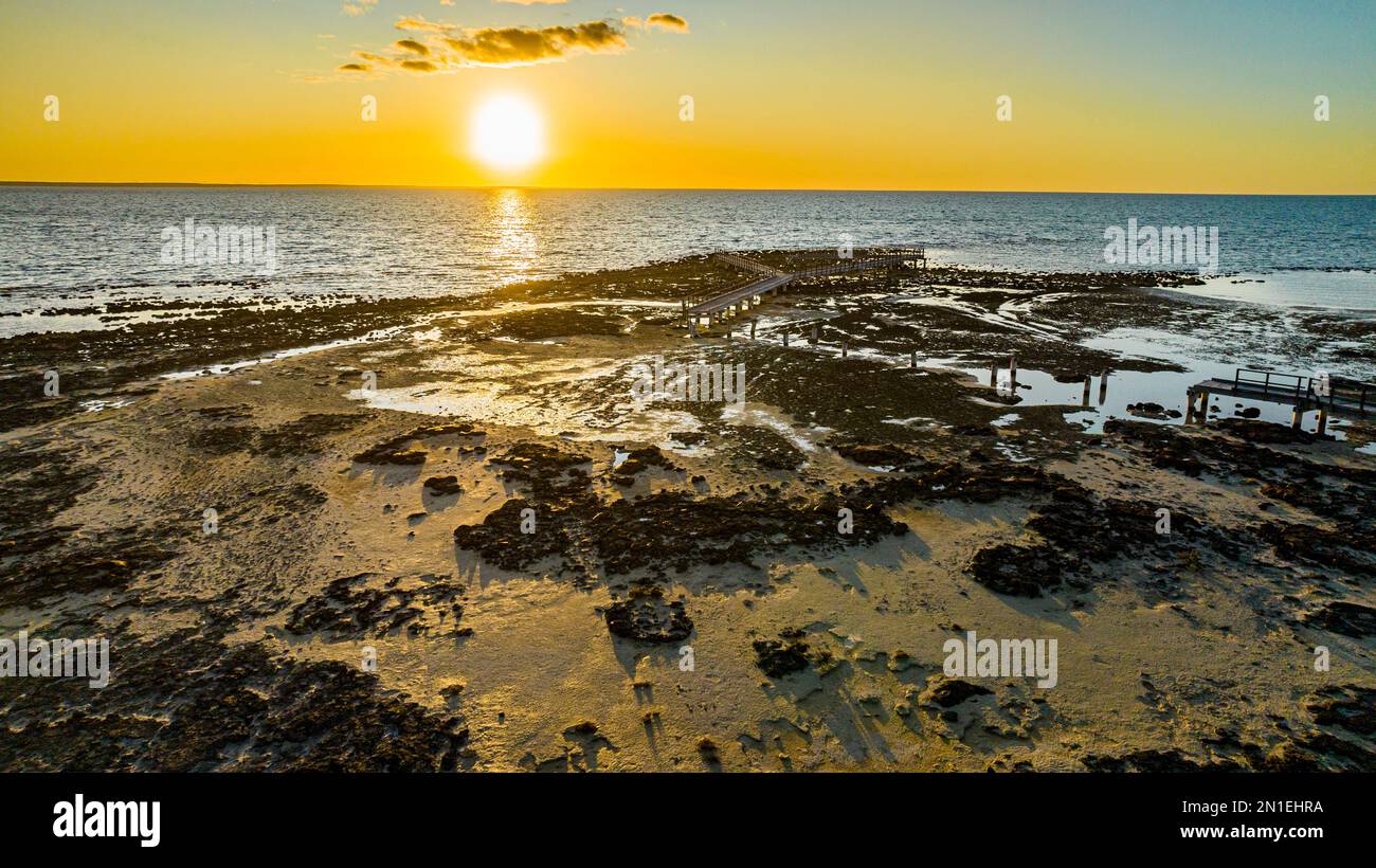 Aerial of the Hamelin Pool stromatolites, Shark Bay, UNESCO World ...