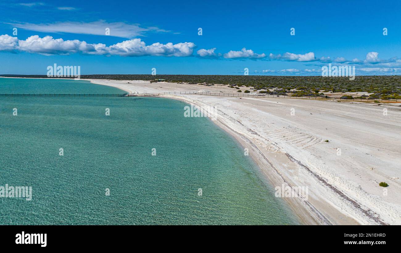 Aerial of Shell Beach, Shark Bay, UNESCO World Heritage Site, Western ...