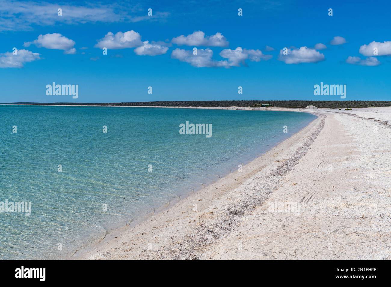 Shell Beach, Shark Bay, UNESCO World Heritage Site, Western Australia ...