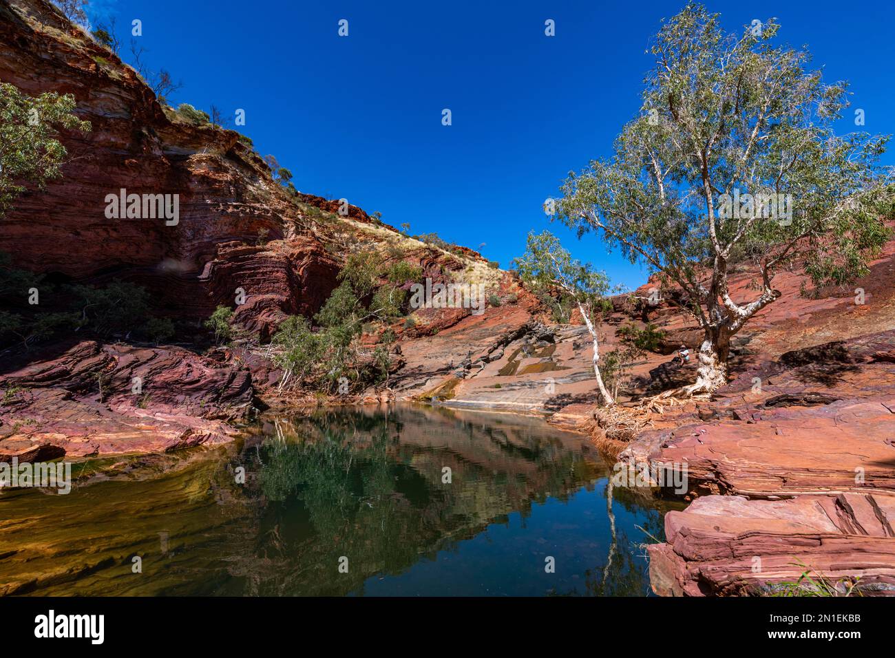 Pool in Hammersley Gorge, Karijini National Park, Western Australia ...