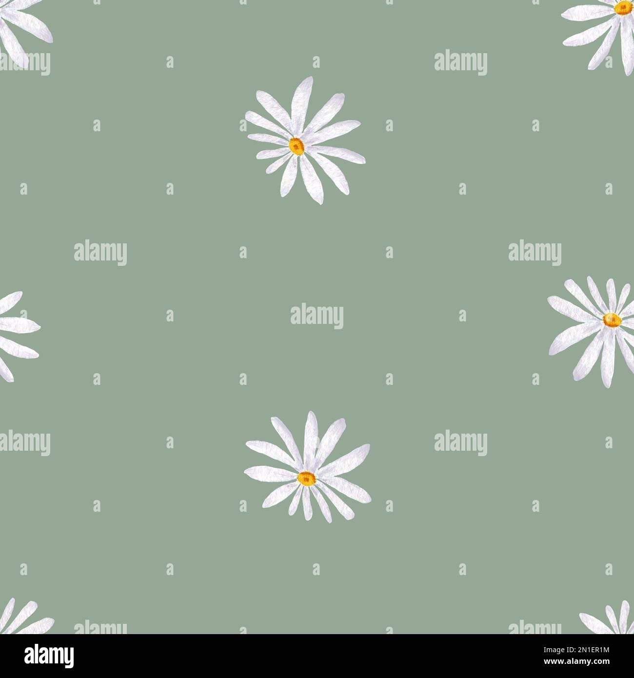 Watercolor seamless floral pattern. Illustration Flowers Daisies drawn ...