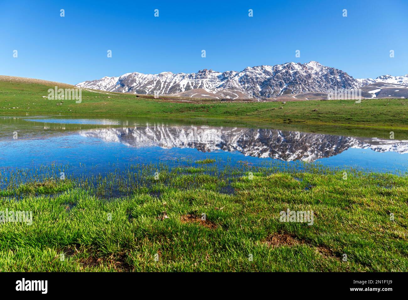 Spring thaw with lake reflection on the Campo Imperatore Plateau, Gran ...