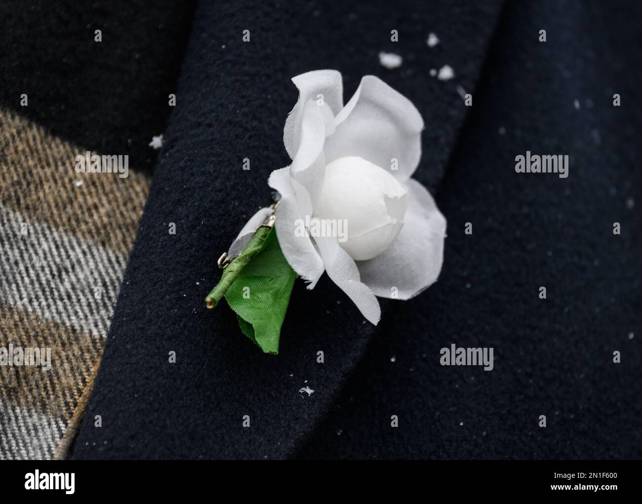 06 February 2023, Saxony, Dresden: A white rose on the coat of the Lord ...