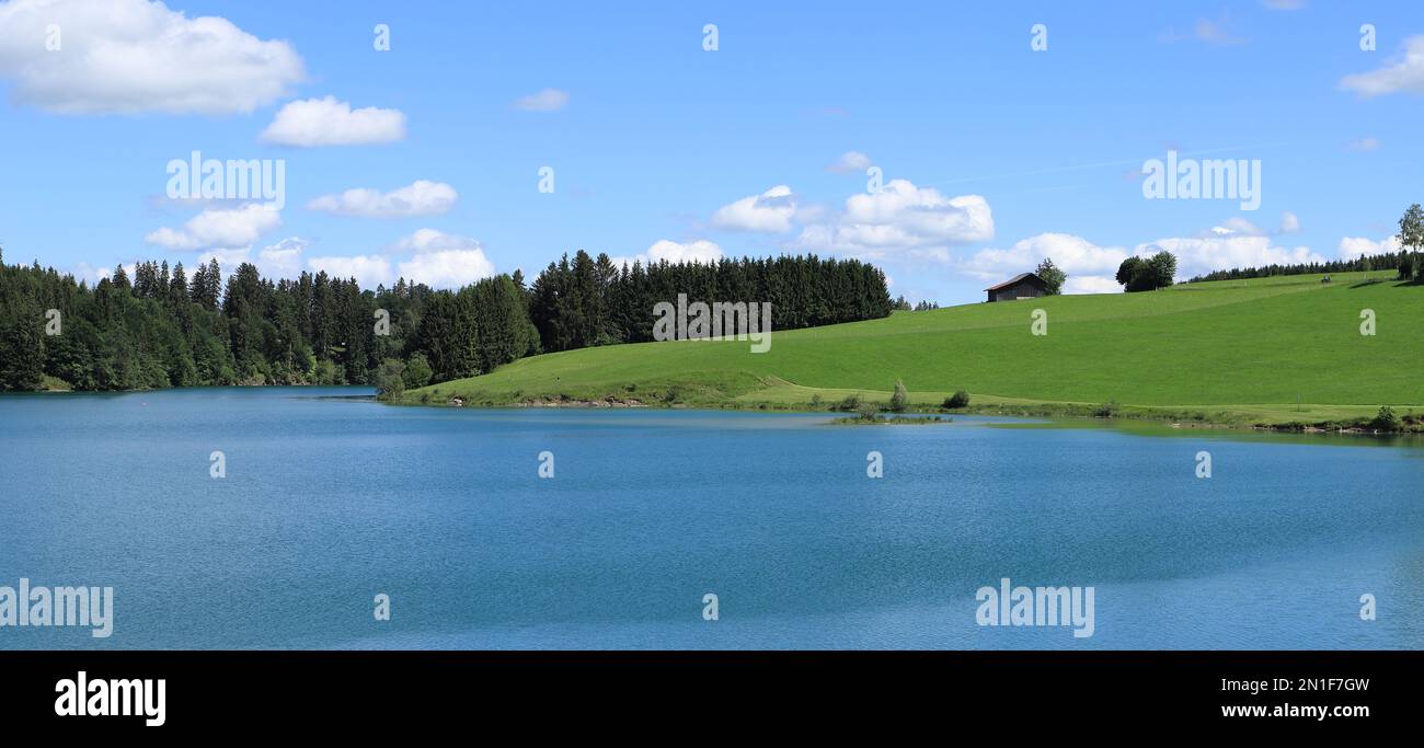 the view of Forggensee in summer Stock Photo - Alamy
