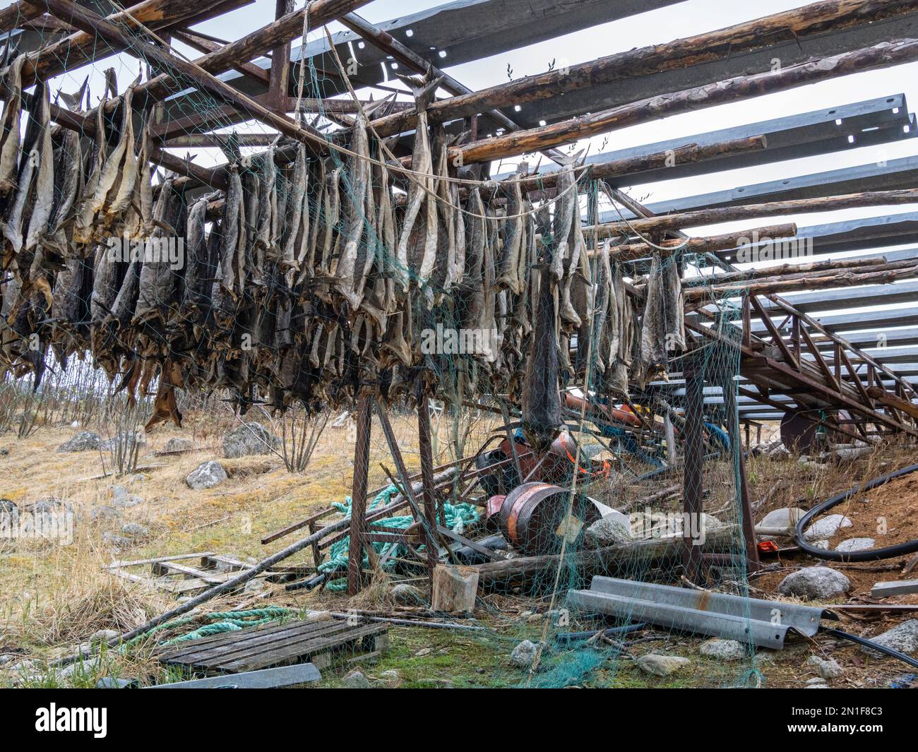 Fish racks, Musken (Masske), a Sami village near Hellemobotn, the ...