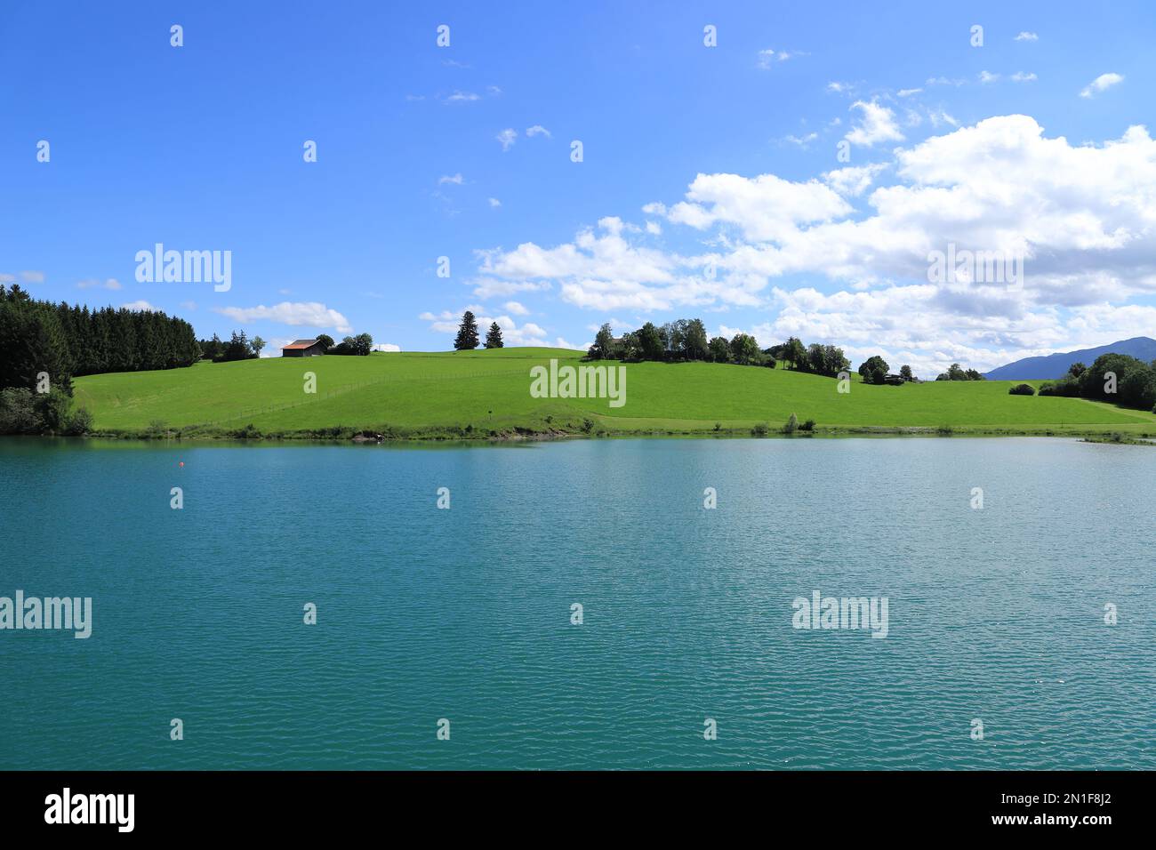 the view of Forggensee in summer Stock Photo - Alamy