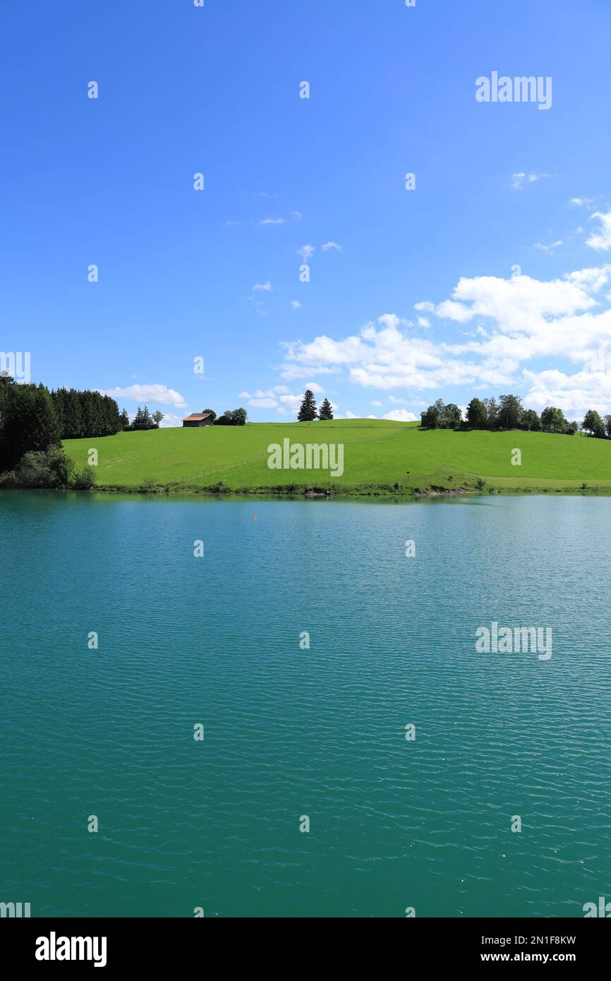 the view of Forggensee in summer Stock Photo - Alamy