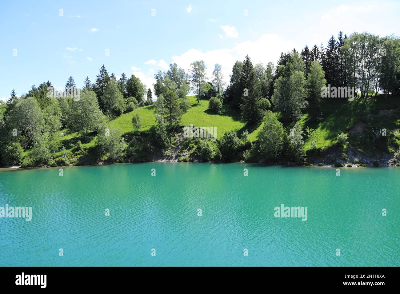 the view of Forggensee in summer Stock Photo - Alamy