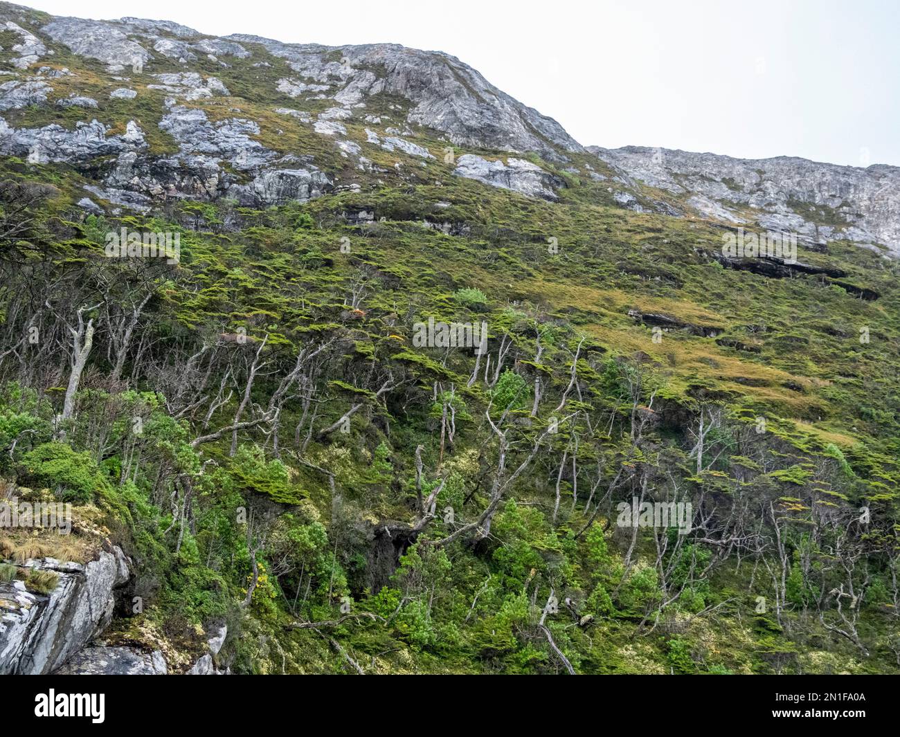Los estados cliffs hi-res stock photography and images - Alamy