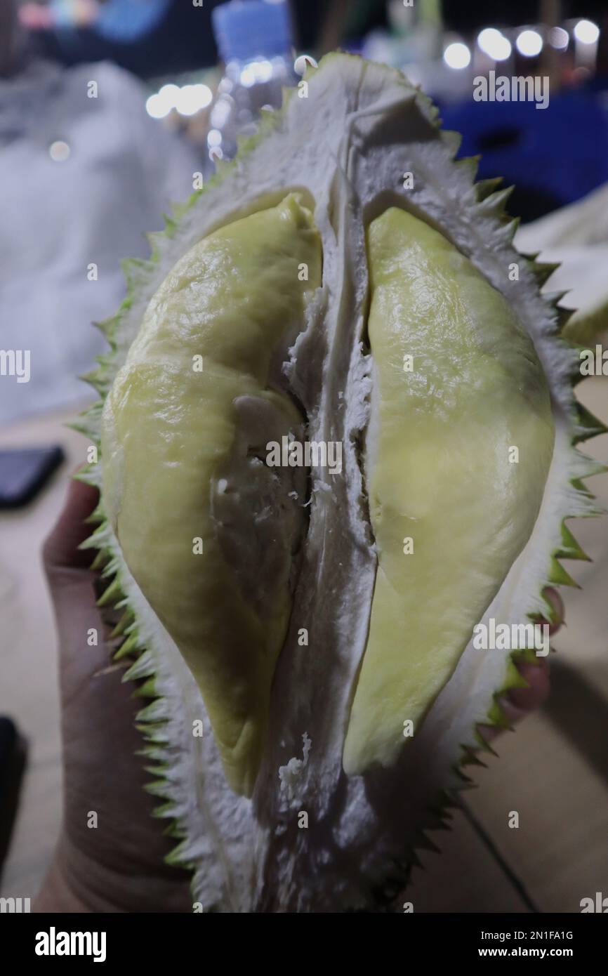 Top view of fresh yellow Durian fruit with blurred background Stock ...