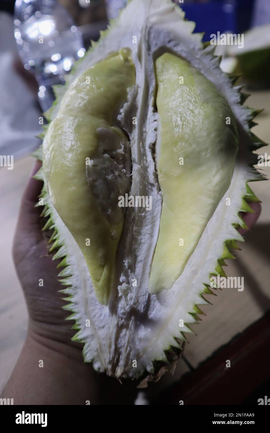Top view of fresh yellow Durian fruit with blurred background Stock ...