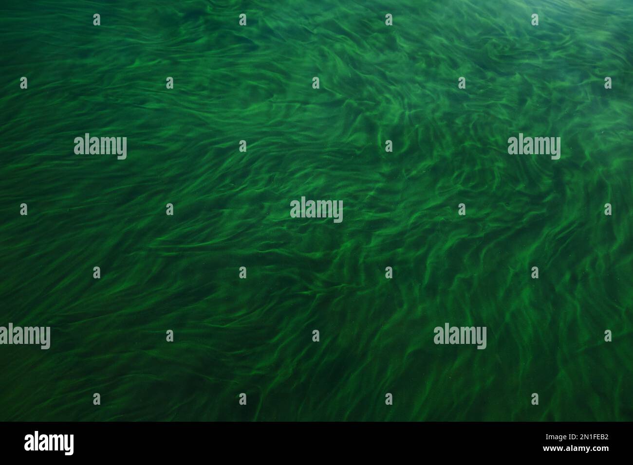 Sfondo trama hi-res stock photography and images - Alamy