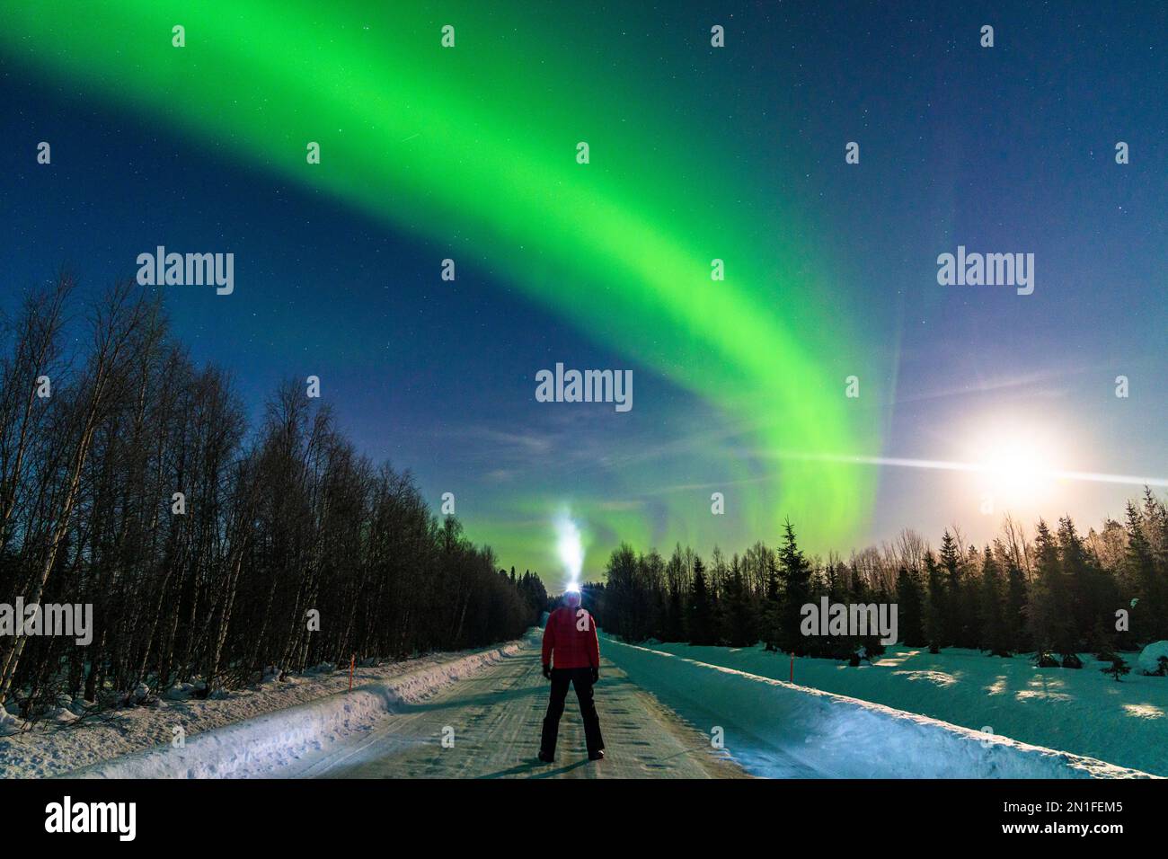 Hiker with flashlight admiring the starry sky with Aurora Borealis ...