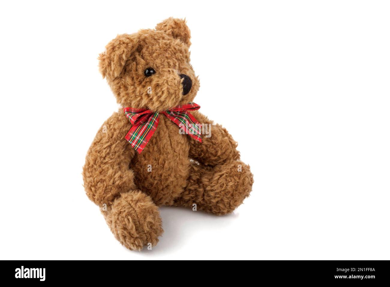 Cute teddy bear isolated on white background Stock Photo - Alamy