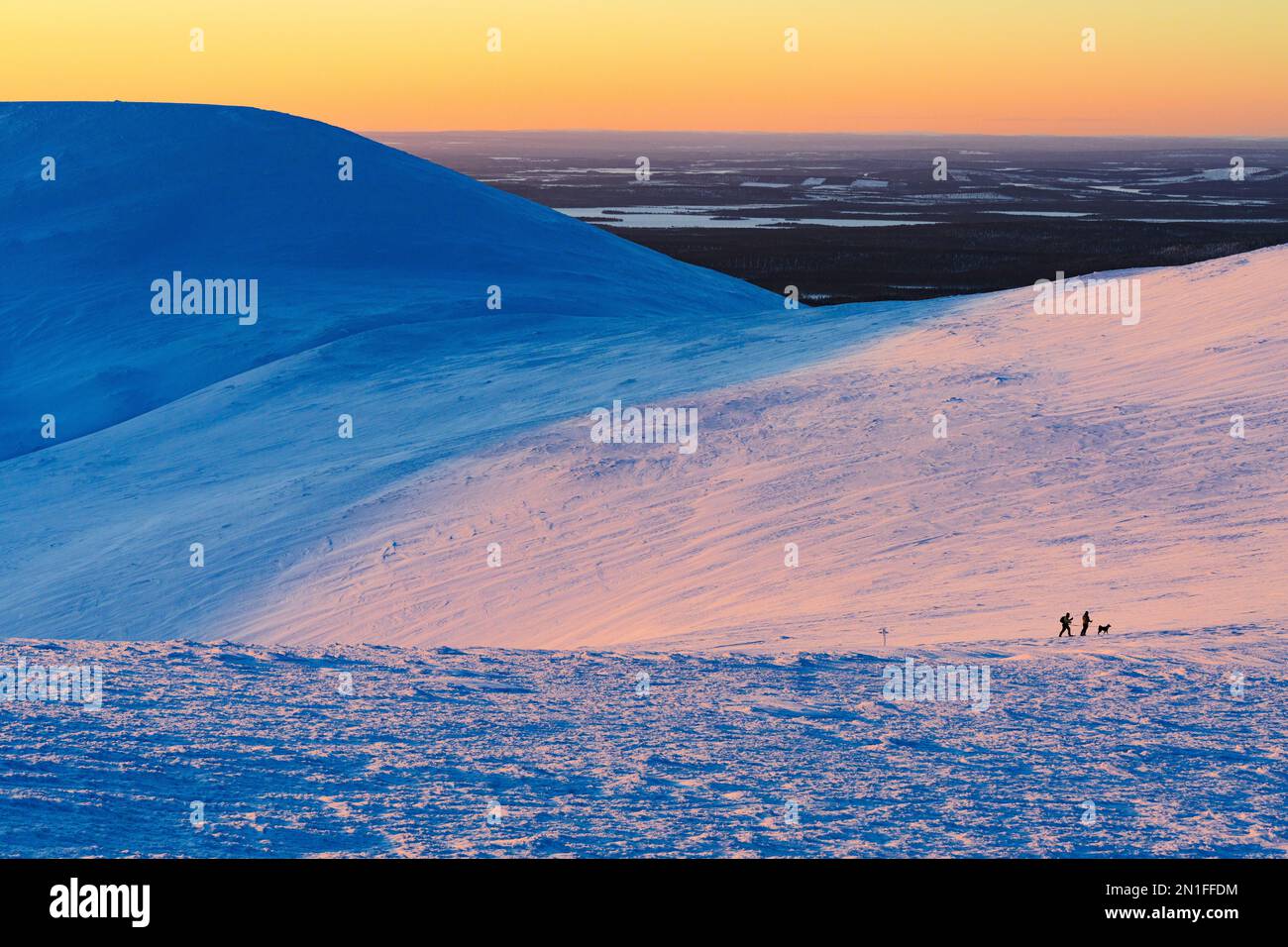Two hikers and dog enjoying snowshoeing in snowy landscape at sunset, Pallas-Yllastunturi ...